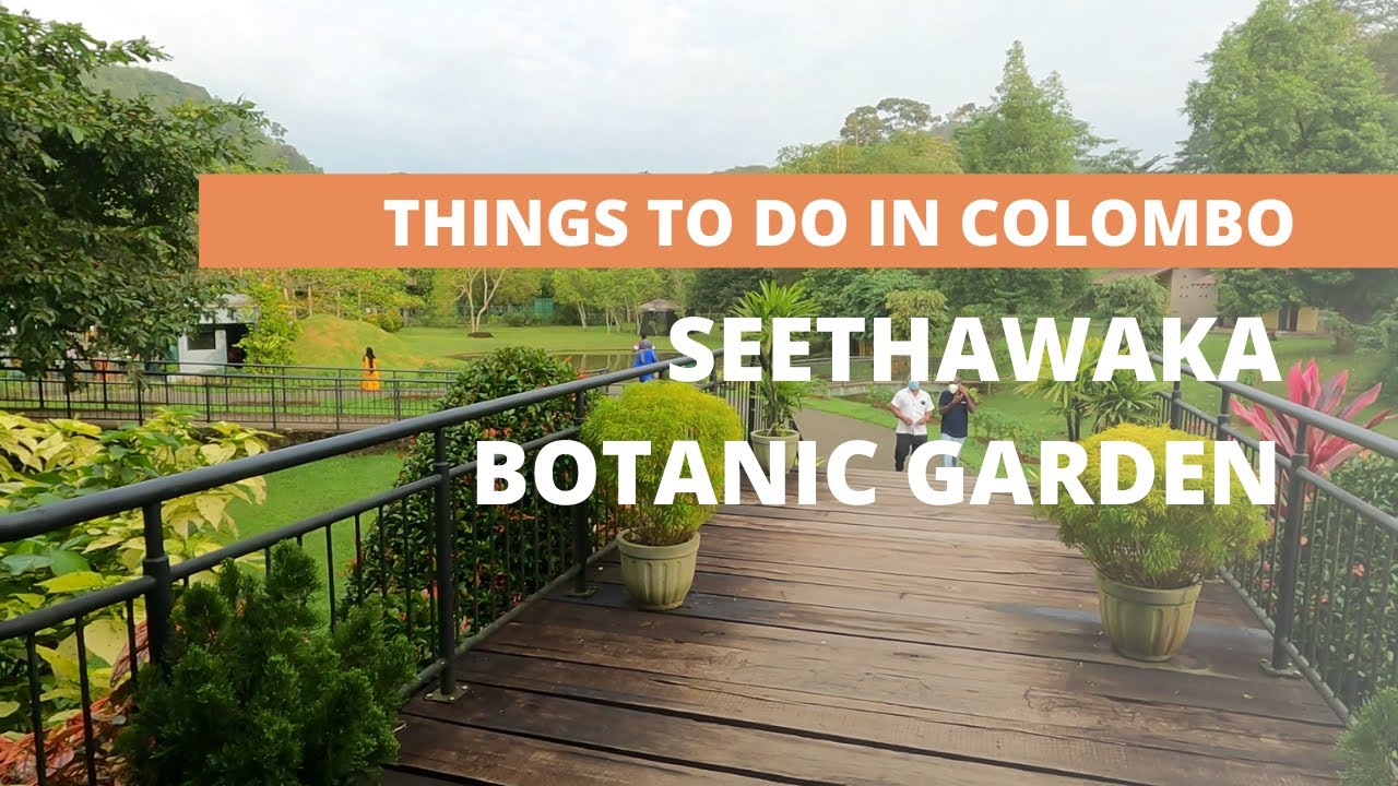 Best things to do in Colombo Sri Lanka | Seethawaka Botanical Garden ...