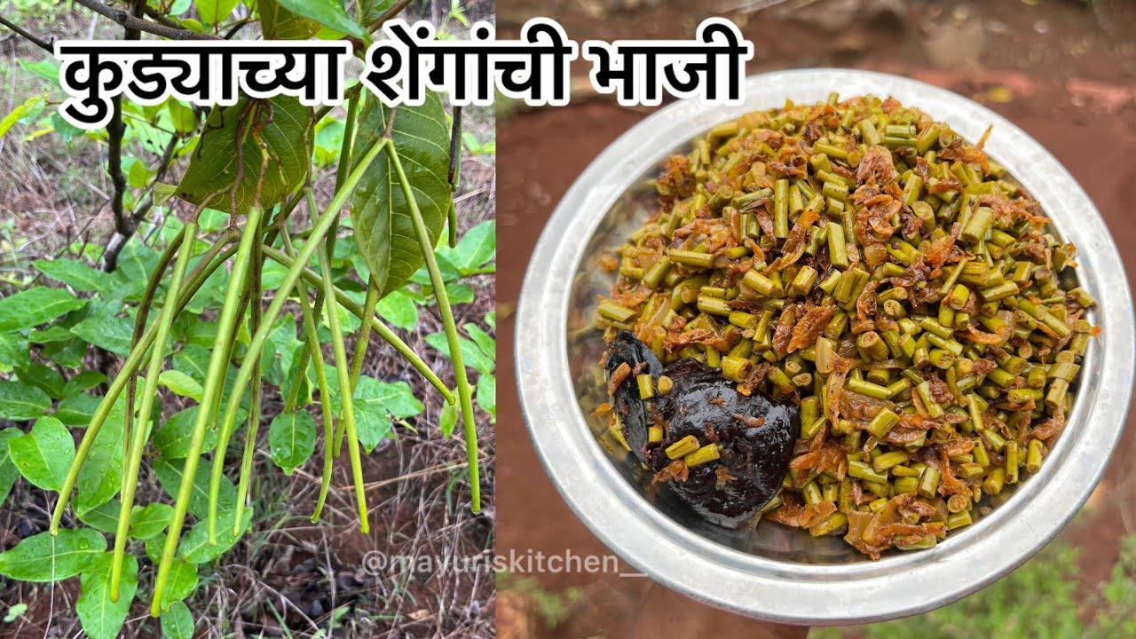कुड्याच्या शेंगांची भाजी 😍 ️ पावसाळ्यातील रानभाजी | Kudyachya shengachi ...