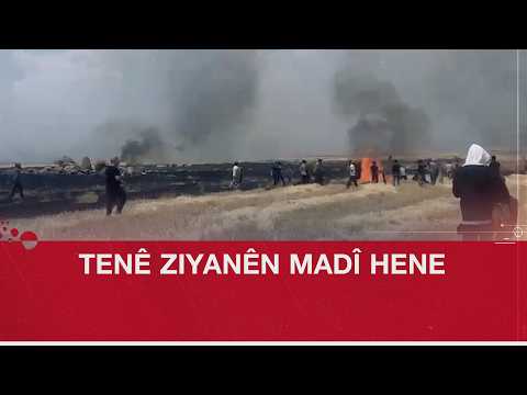 Dêrik.. Agir li zeviyên çandiniyê yên gundên Qesir Dîbê, Bane Qesrê û Heb El-Hewa ket
