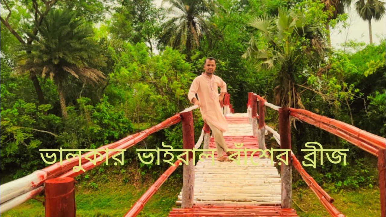ভালুকার বান্দিয়ার ভাইরাল বাঁশের ব্রিজ।Viral brize Bhaluka।।Mymensingh ...