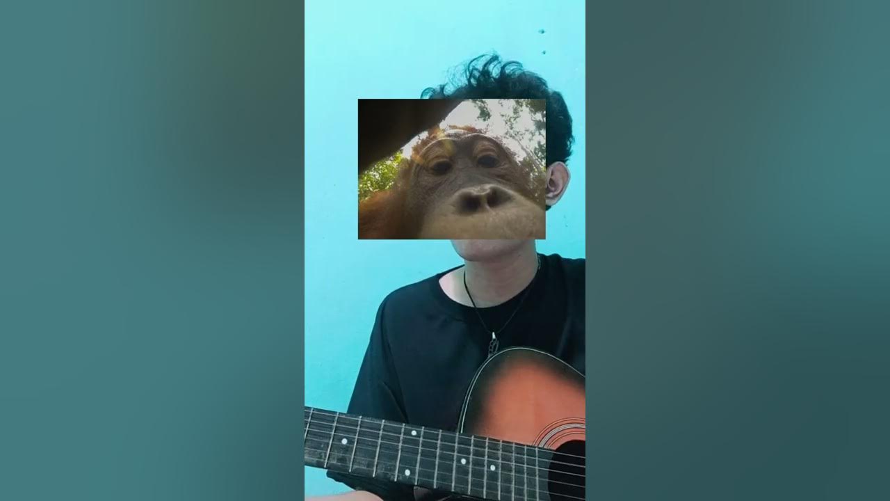 Zzzzzzzzzzzzzzzzzzzzzzzzzzz................. - YouTube Zzzzzzzzzzzzzzzzzzzzzzzzzzz................. - YouTube