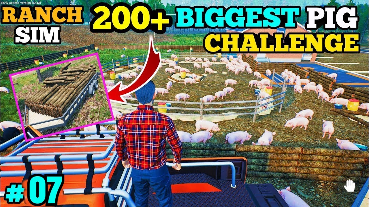 I made 200+ PIG FARM in Ranch Simulator #ranchsimulator - YouTube