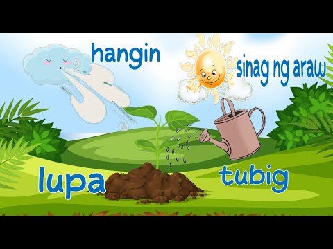LeArN wiTh KiNdEr- MGA PANGANGAILANGAN NG HALAMAN - YouTube