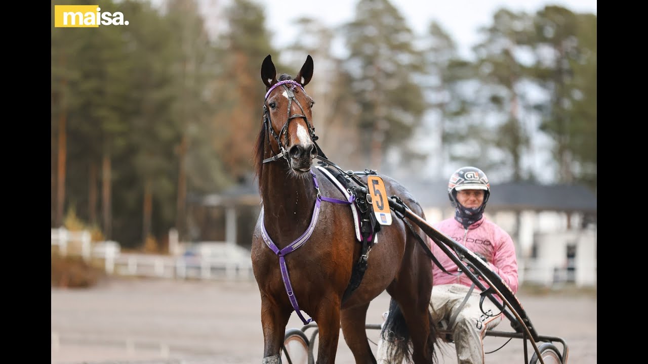 Stonecapes Violet - Muistoja kimpasta vuosilta 2021-2023 - YouTube