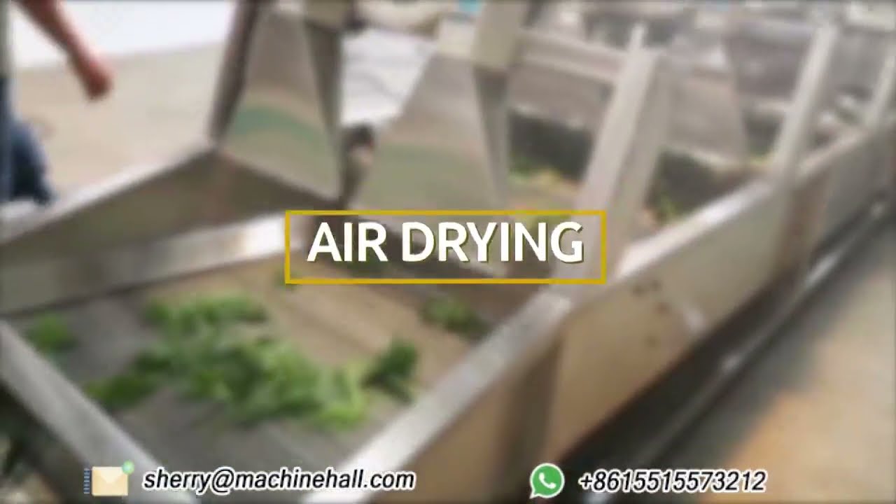 Moringa Leaf Powder Manufacturing Process-- Moringa Powder Production Line - YouTube