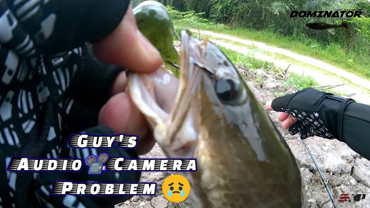 IKAN HARUAN IKUT MUDIK || PARIT SEMAKIN DALAM || EXP HORIZ 151 SC ...