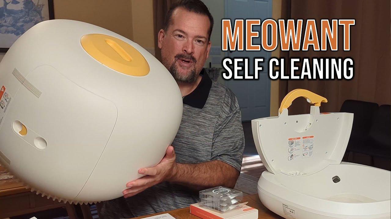 MeoWant First Impressions and Set up - YouTube