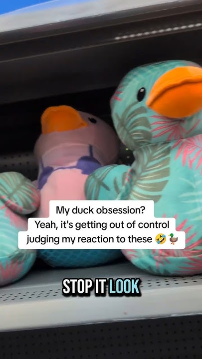 When Your Duck Obsession Finds YOU #duck - YouTube