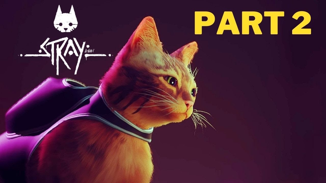 The feds are after me [Stray-Part 2] - YouTube