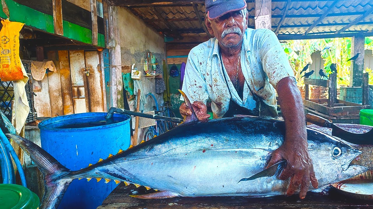 Huge Yellow Fin Tuna Cutting By Grandpa | Fish Cutting Skills Sri Lanka ...