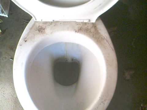 A Rare But Neglected Toilet - YouTube