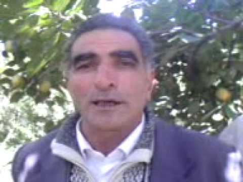 Gizir akstafa