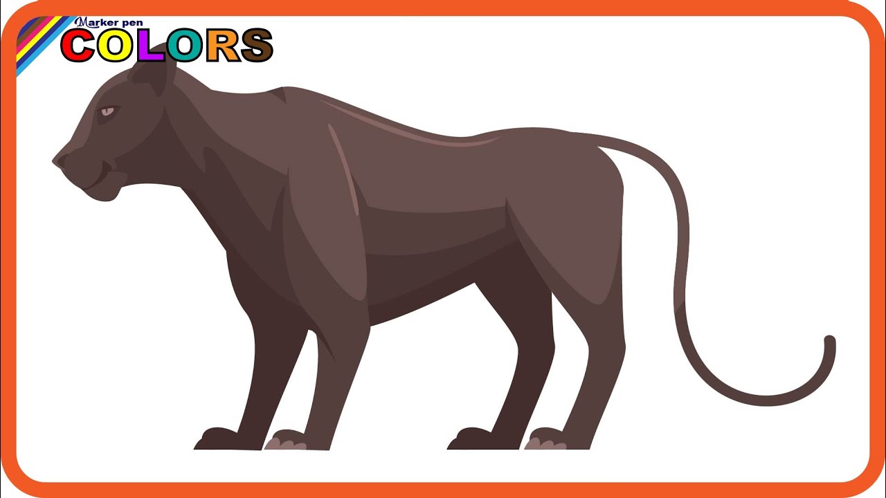 (Animals) DARK PANTER Drawing and Coloring-Animals Drawing and Coloring ...