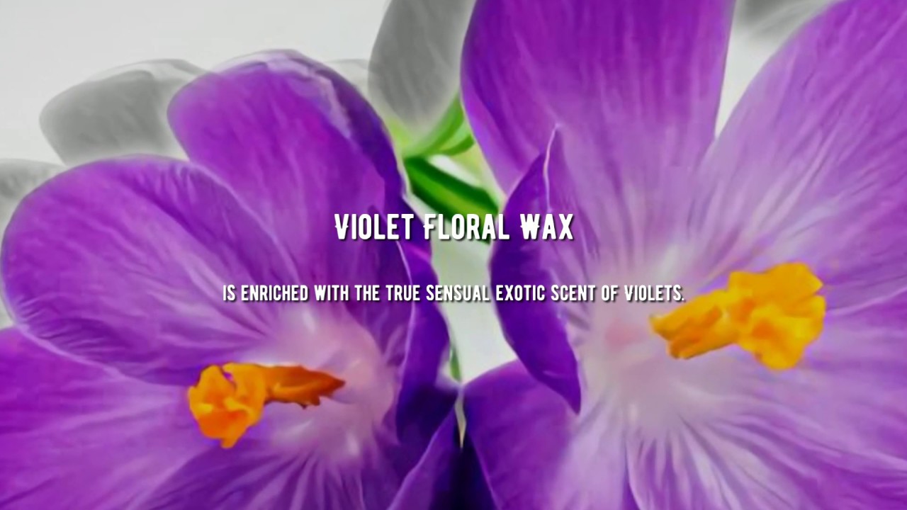 Floral Wax | Violets | Moringa Young #Vegan #Natural - YouTube