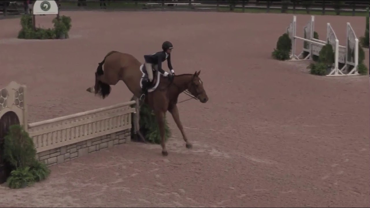 Icadello & Cecelia Perry Washington Hunter Wef 1 - YouTube