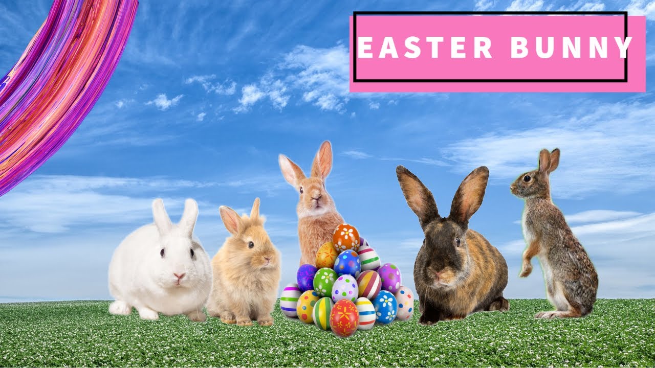 Easter Bunny - YouTube