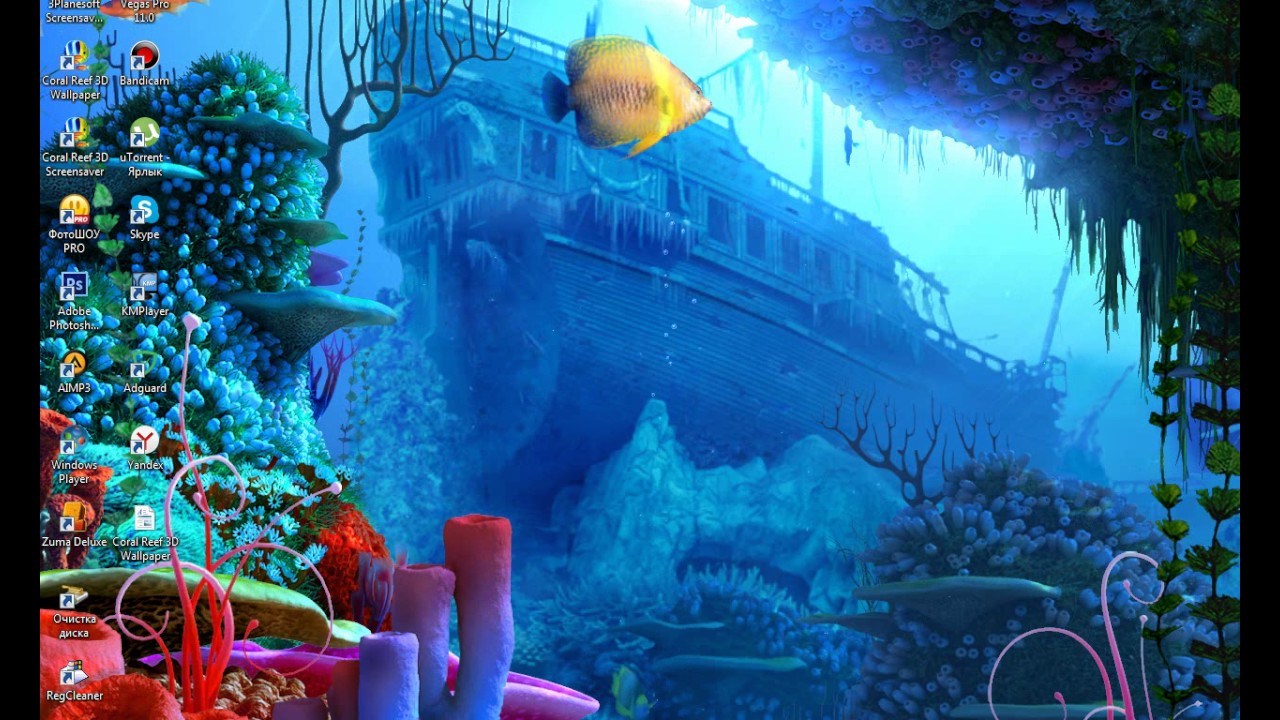 Coral Reef 3D Screensaver - YouTube