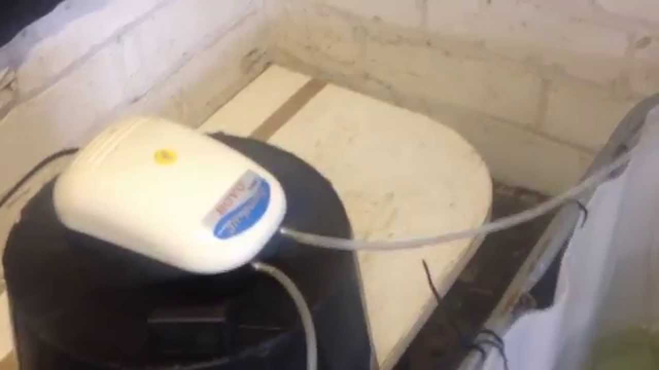 Live lobster storage tank - Video 5 - YouTube