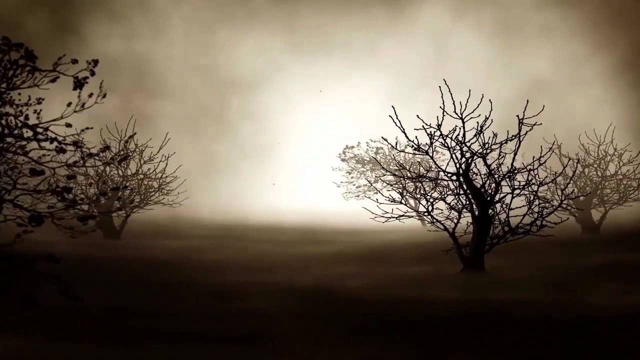 Background 010 Dry Trees HD - YouTube