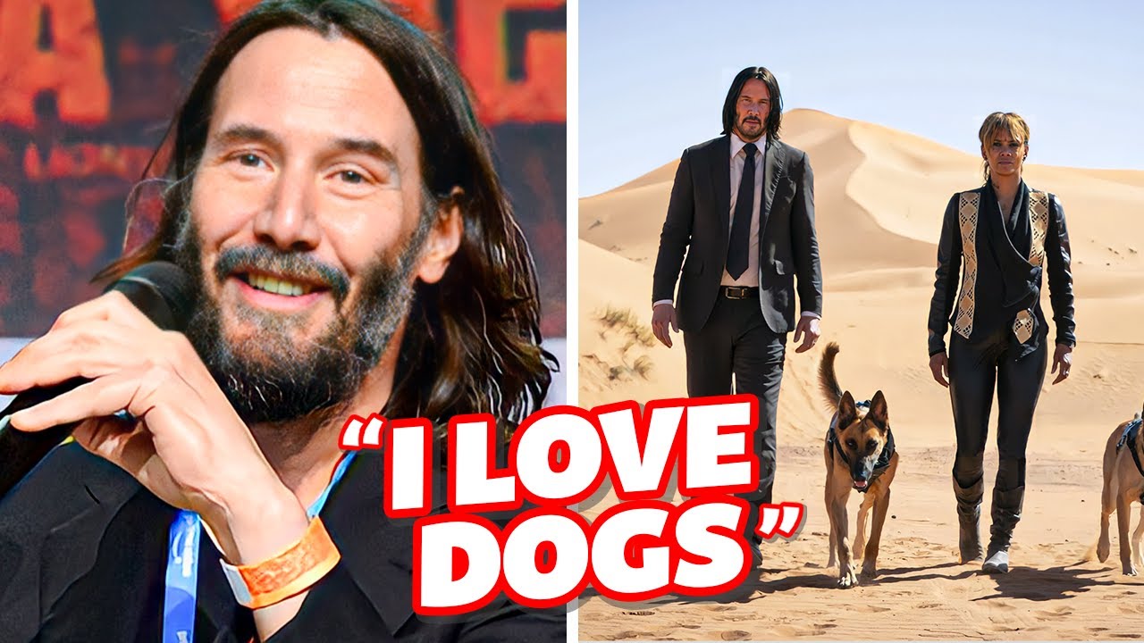 John Wick 4 Will FEATURE More Dogs YouTube