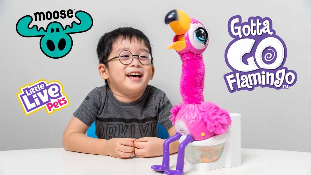 Gotta Go Flamingo makes you LAUGH | Little Live Pets | Toy Unboxing and ...