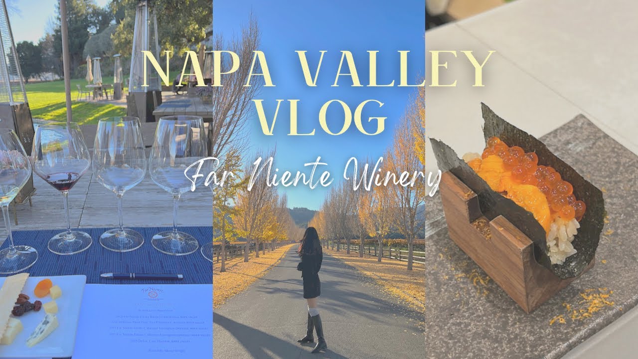 미국 나파밸리 브이로그🍷 파니엔테 와이너리 나파의 가을 비스트로 젠티 샌프란시스코 신상 맛집 핸드롤 프로젝트