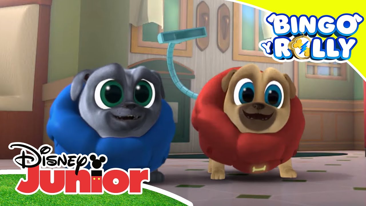 Bingo y Rolly: A jugar con Bingo y Rolly - Guardería de cachorros ...