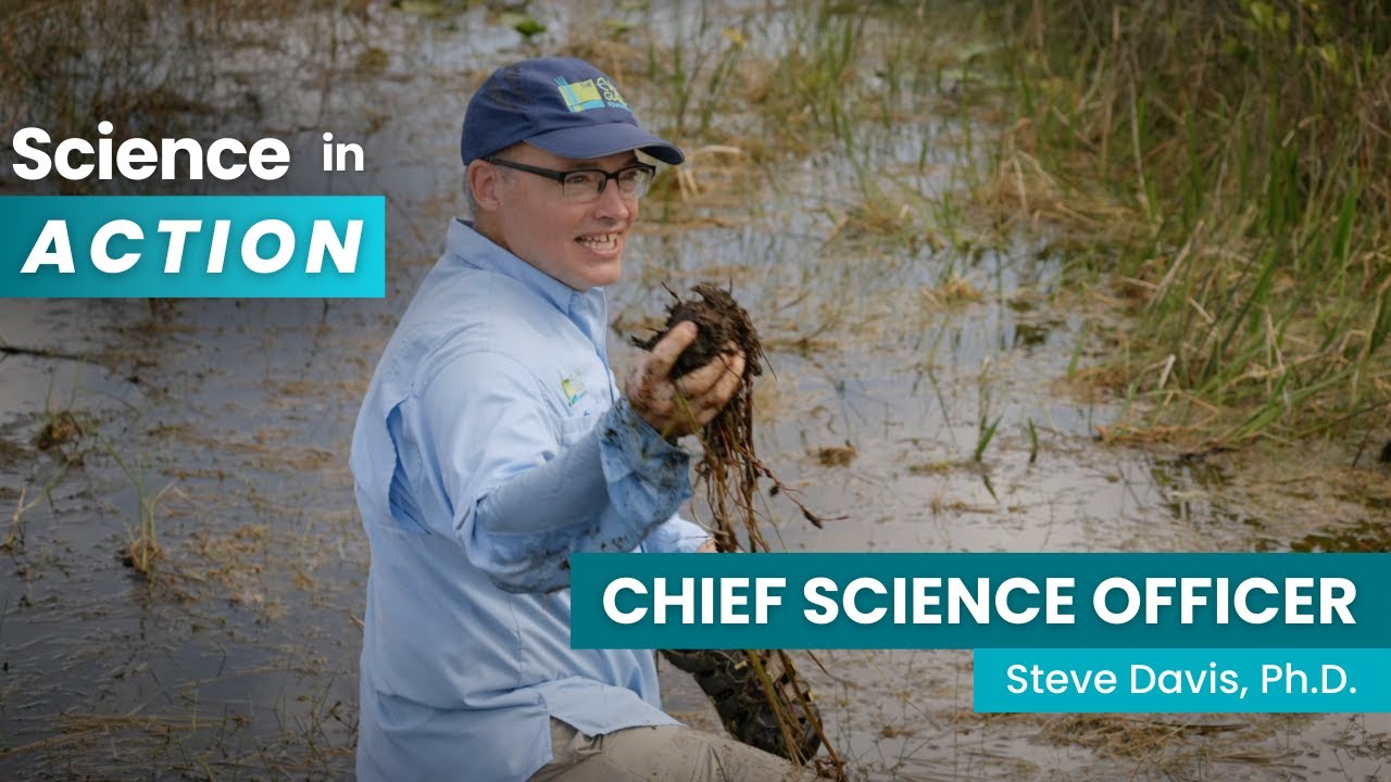 How Science Leads the Way for Everglades Restoration - YouTube
