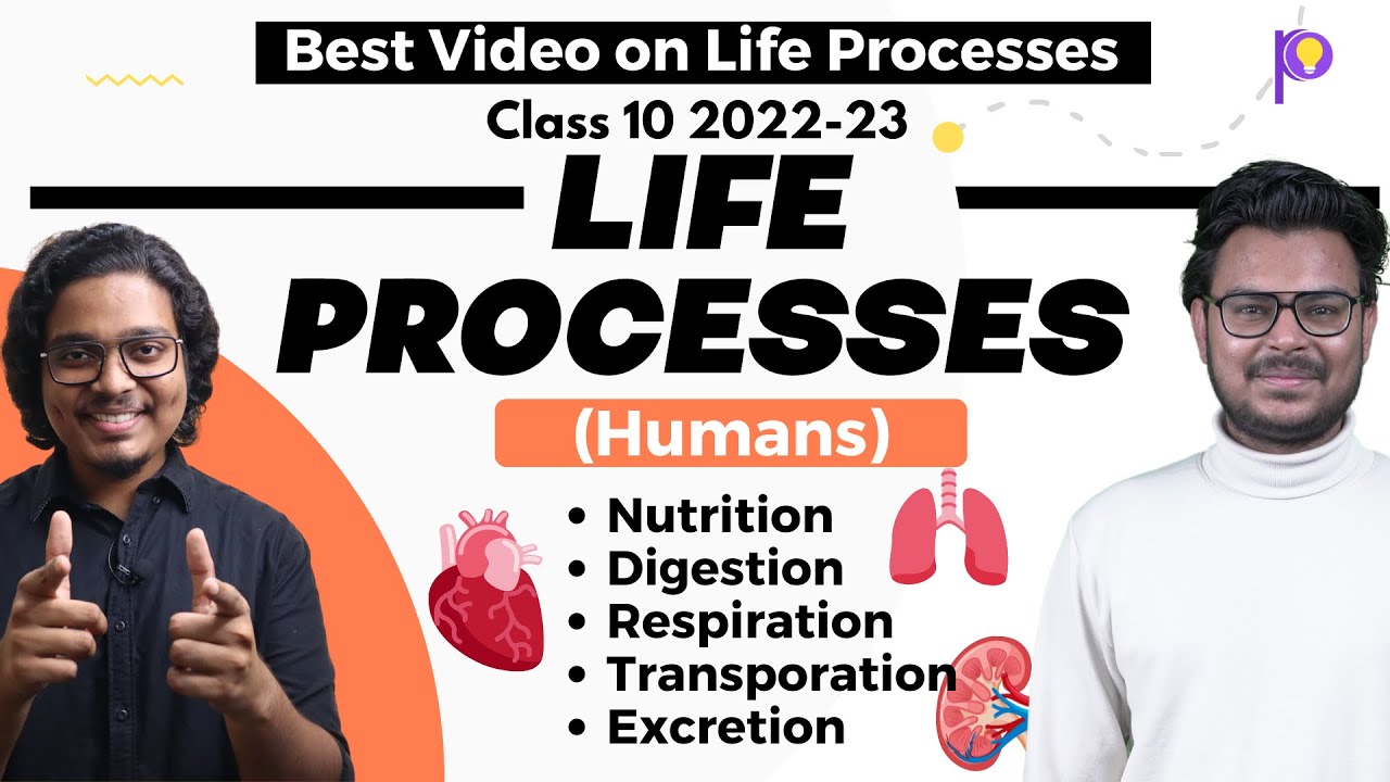Life Processes Class 10 2022-23 | Biology Class 10 | Humans | Padhle ...