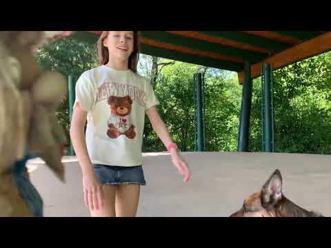 How To Do а Handstаnd - WITH DOG 