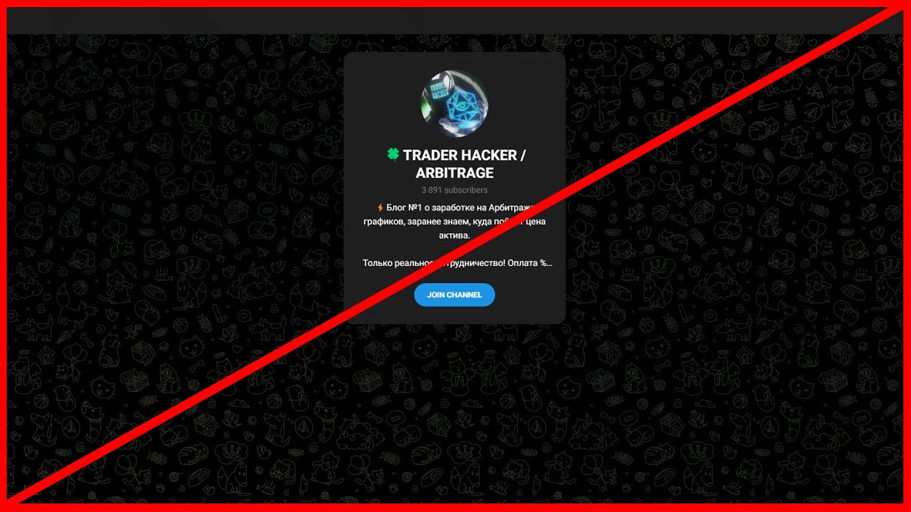 Trader Hacker обзор и проверка канала! - YouTube