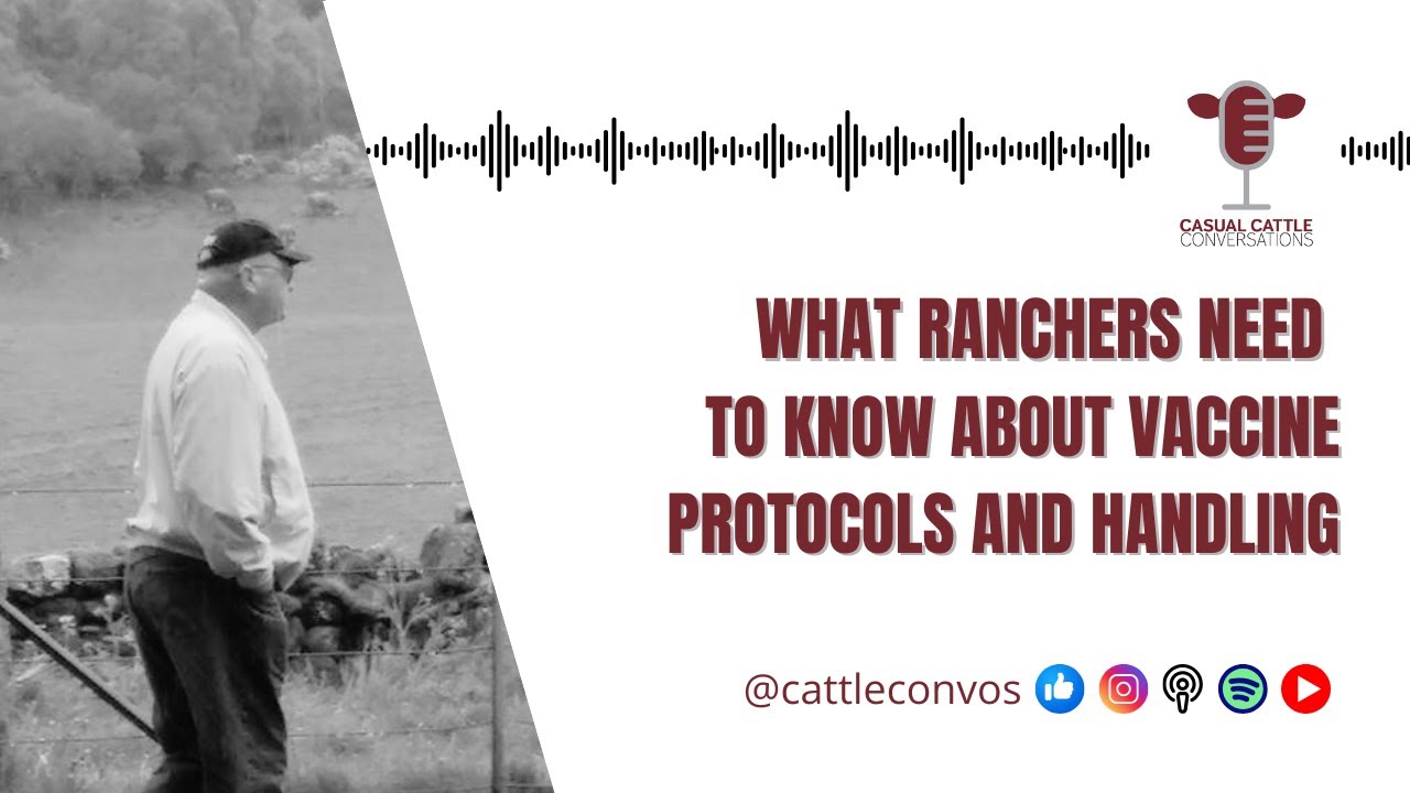 Maximizing Herd Health: The Truth About Cattle Vaccines - YouTube
