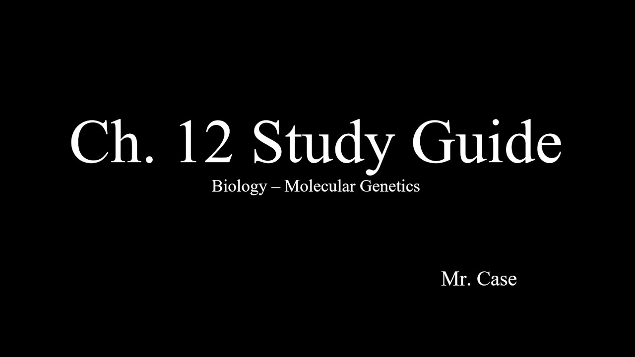 Biology - Ch. 12 Study Guide Review - YouTube