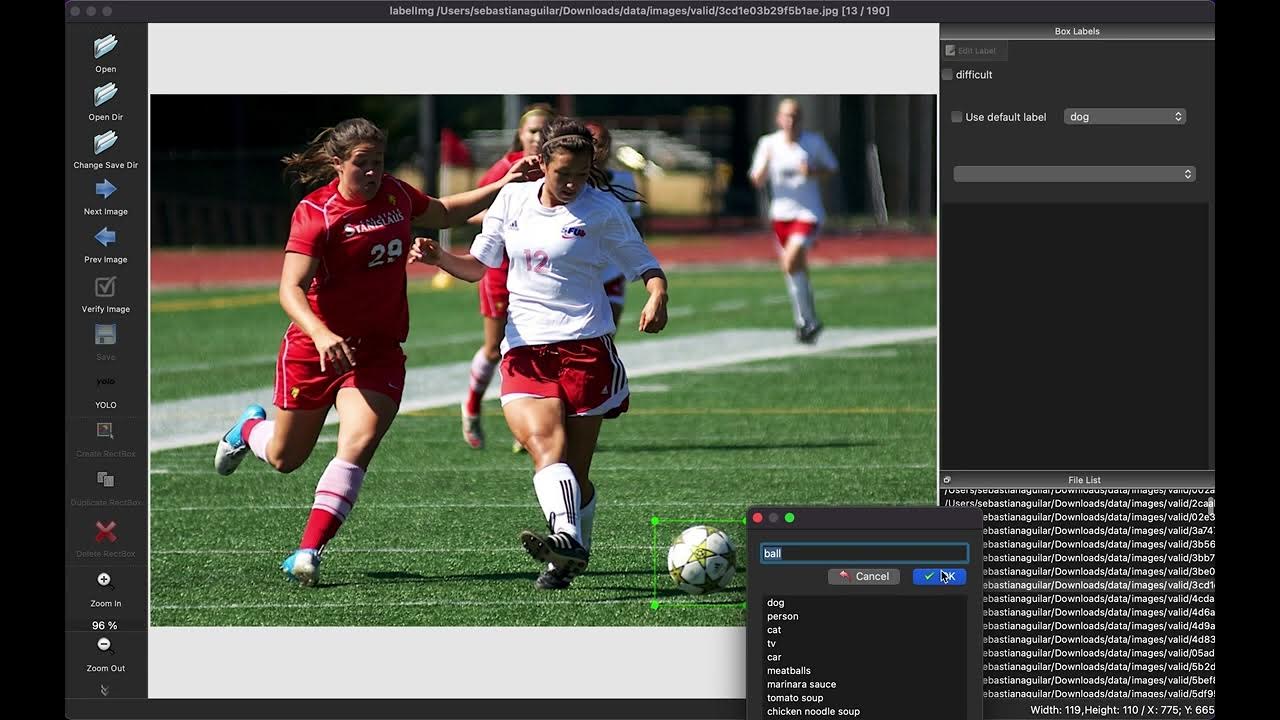 Yolo labeling image datasets - YouTube