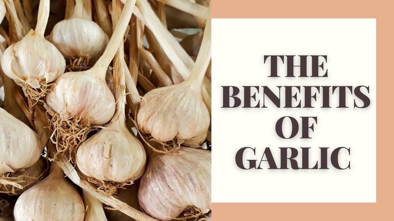 The Benefits And Side Effects Of Eating Garlic | Health Benefits Of ...
