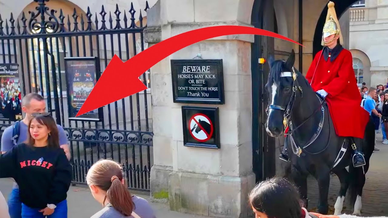 Important Safety Message, Guard's Gentle Warning to Stay out of the ...