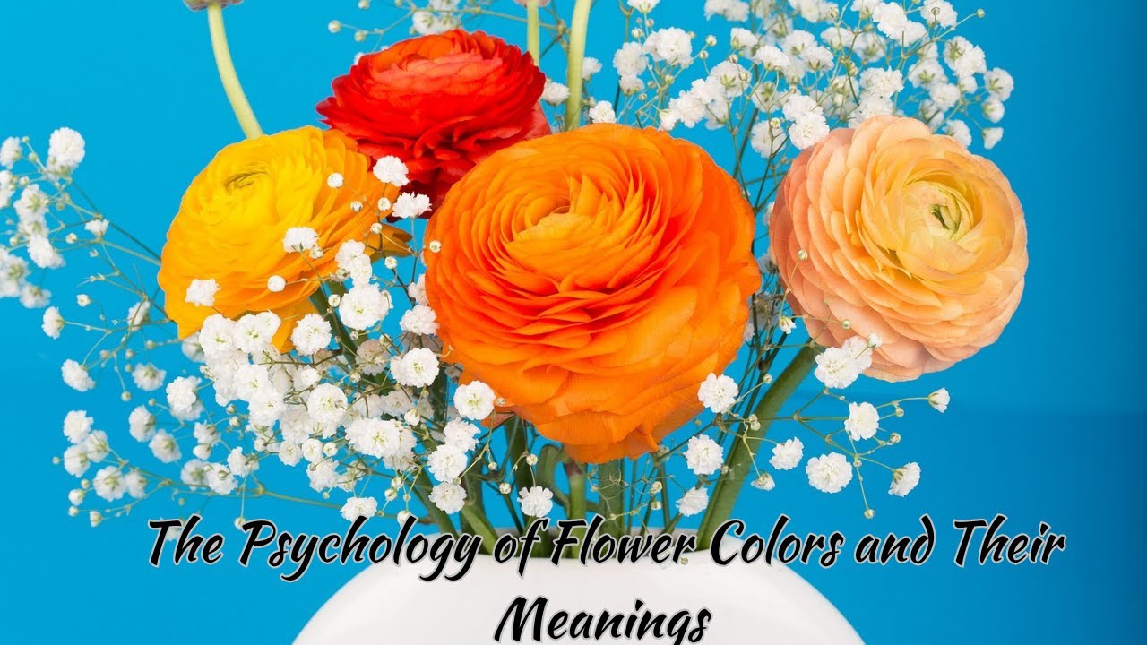 The Psychology of Flower Colors and Their Meanings - YouTube