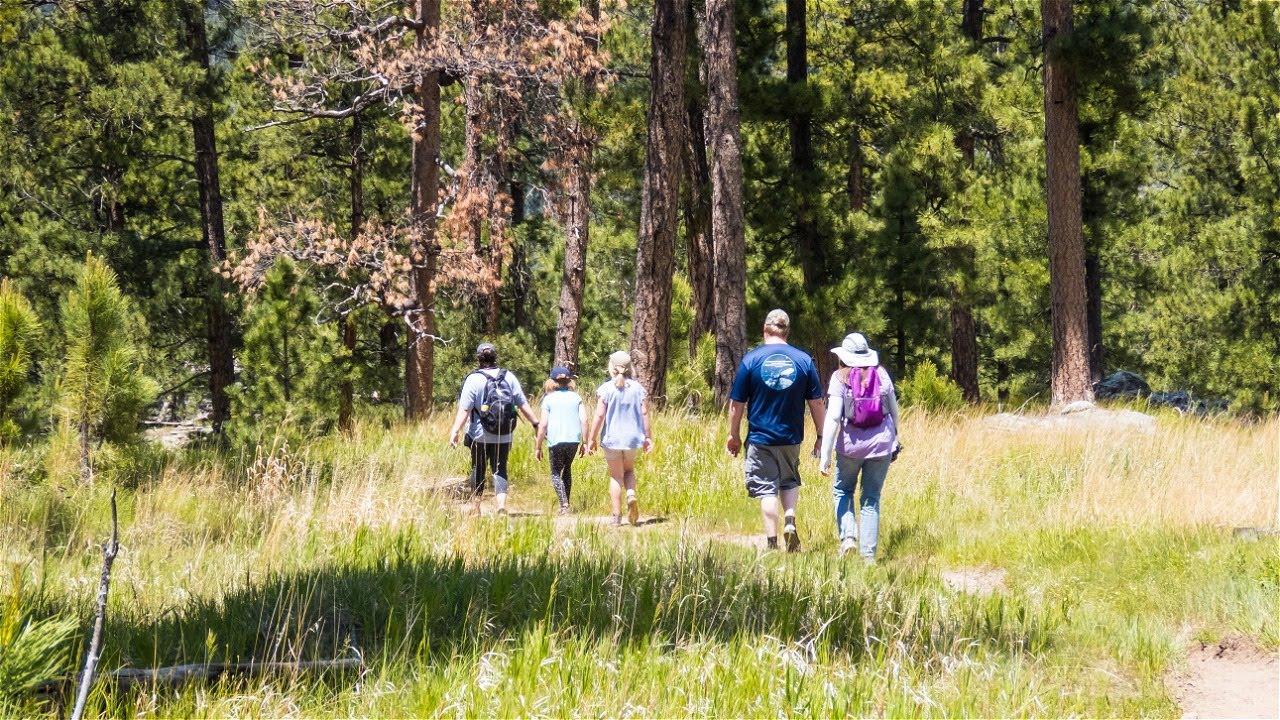 Camping And Hiking With Family! Grizzly Creek Primitive! Black Hills Of ...