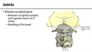 Back and Spinal Cord LO 2 - Vertebral Column