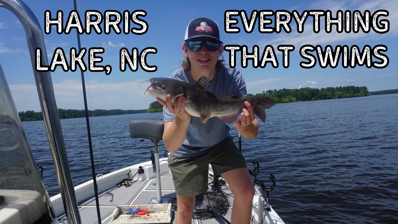 Multi Species Fishing at Harris Lake, North Carolina - APS - YouTube
