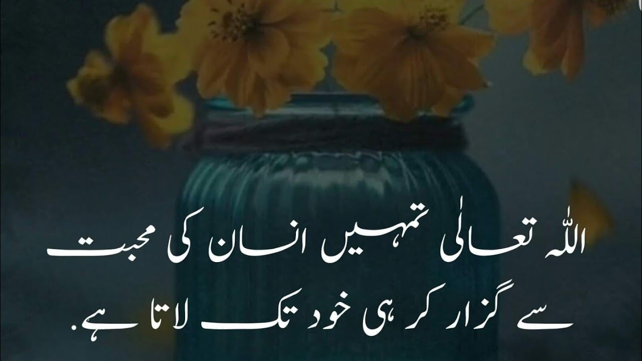 Most Amazing Beautiful | Quotes | Deep lines | Life Changing Quotes ...