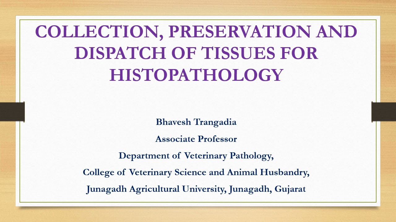 Collection, preservation and dispatch of tissues for histopathology ...