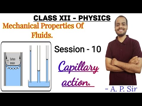 Class XII Physics Mechanical properties of fluids - Capillary action. - YouTube