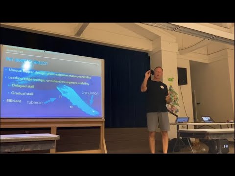 Biomimetic Longboard and Shortboard Fin Designs(David Shormann) - YouTube