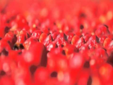Mehran Red chilli powder - YouTube