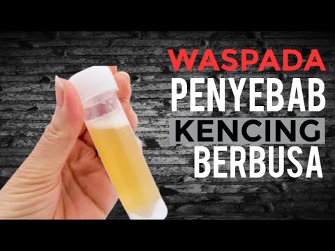 Kencing Berbusa Tanda Penyakit Apa? Ini Penjelasannya - YouTube