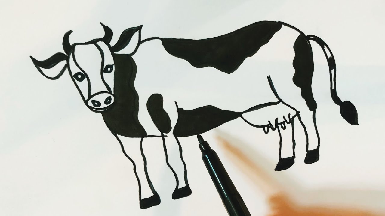How to draw Cow || Cow drawing easy || Animal drawing || #cow #cowboys ...
