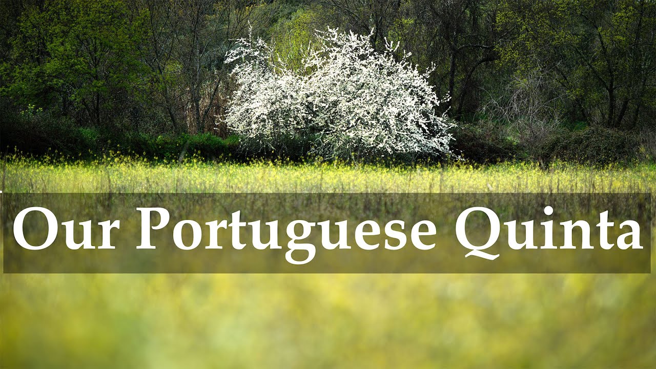 Working on Our Portuguese Quinta - YouTube