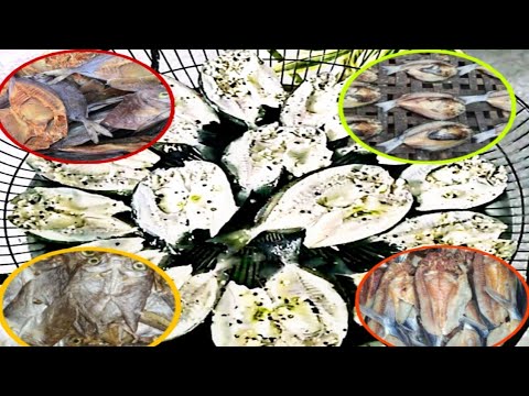 PAANO GUMAWA NG LAMAYO AT DAING NA DANGGIT ll HOW TO MAKE SALTED DRIED ...