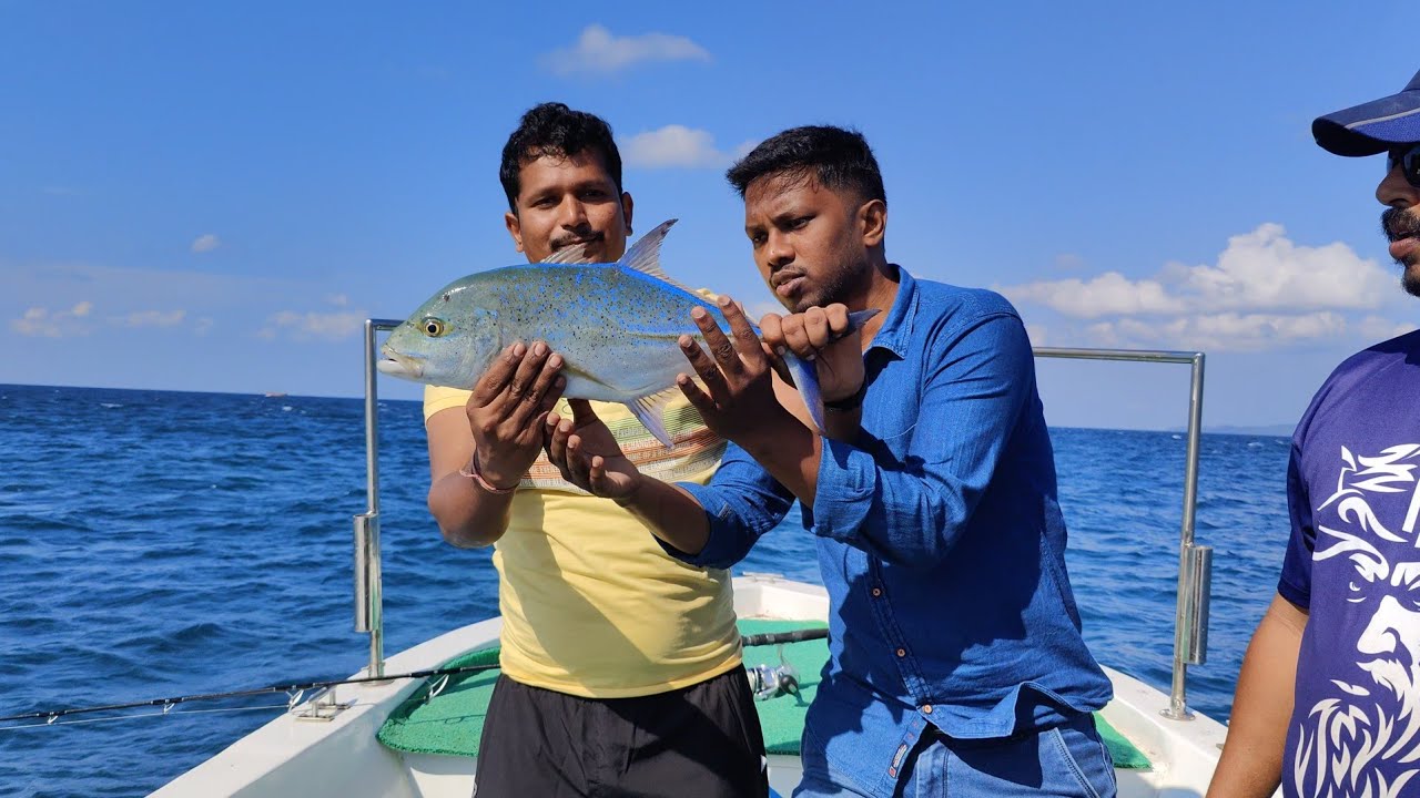 Bluefin Kingfish #kokari #bluefin #fishing #gamefishing #adventure # ...